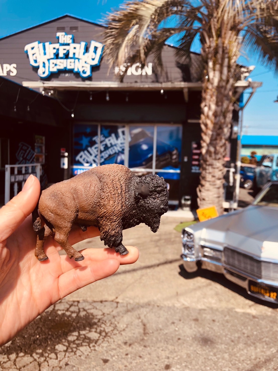 BLOG – Buffalo Designs inc.